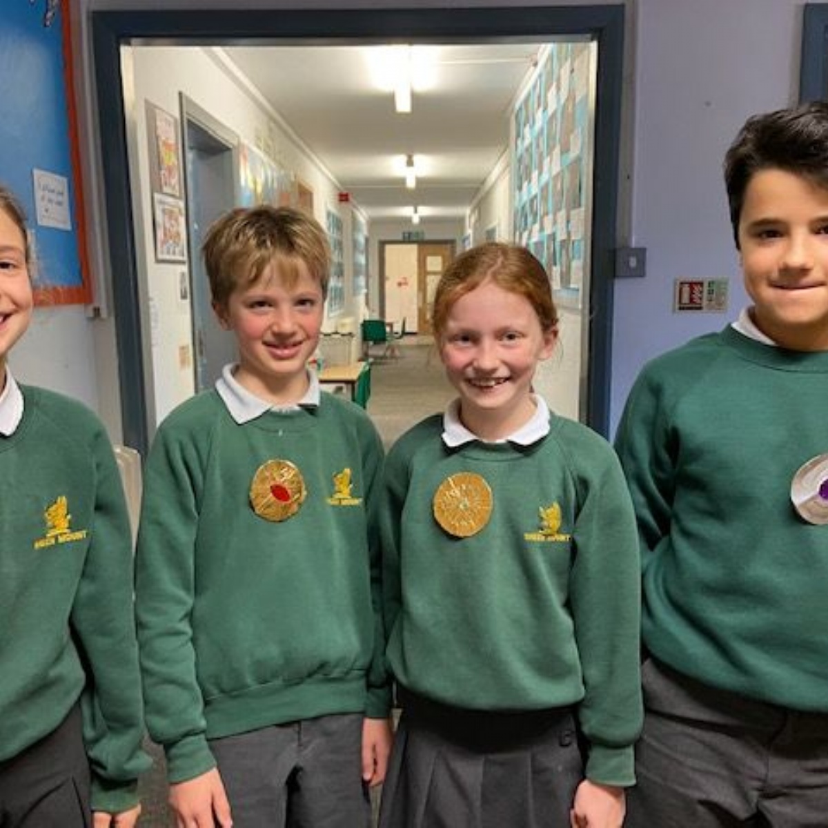 Sheen Mount Primary - Beautiful brooches