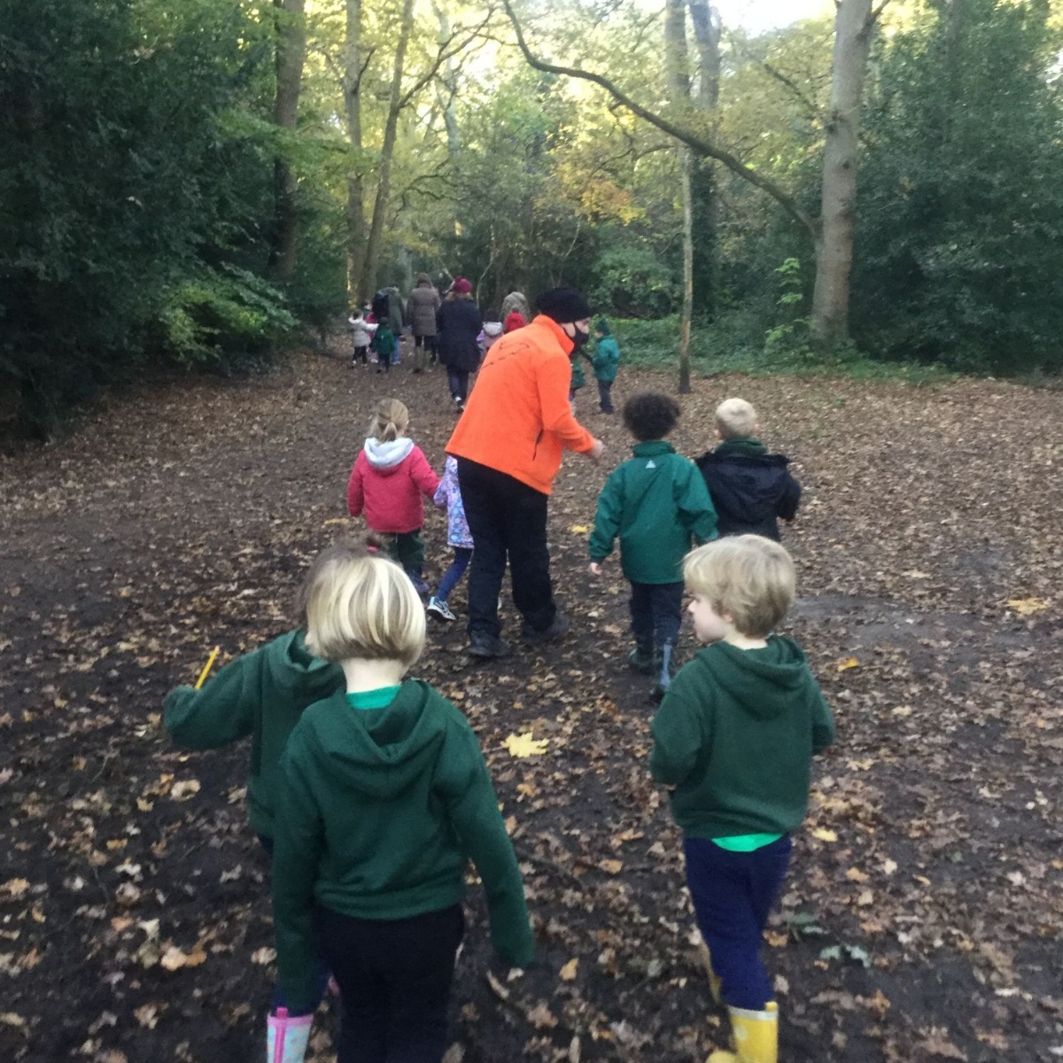 Sheen Mount Primary - Sheen Common Autumn Walk