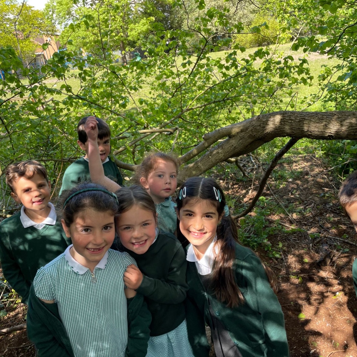 Sheen Mount Primary - Year 2 News!