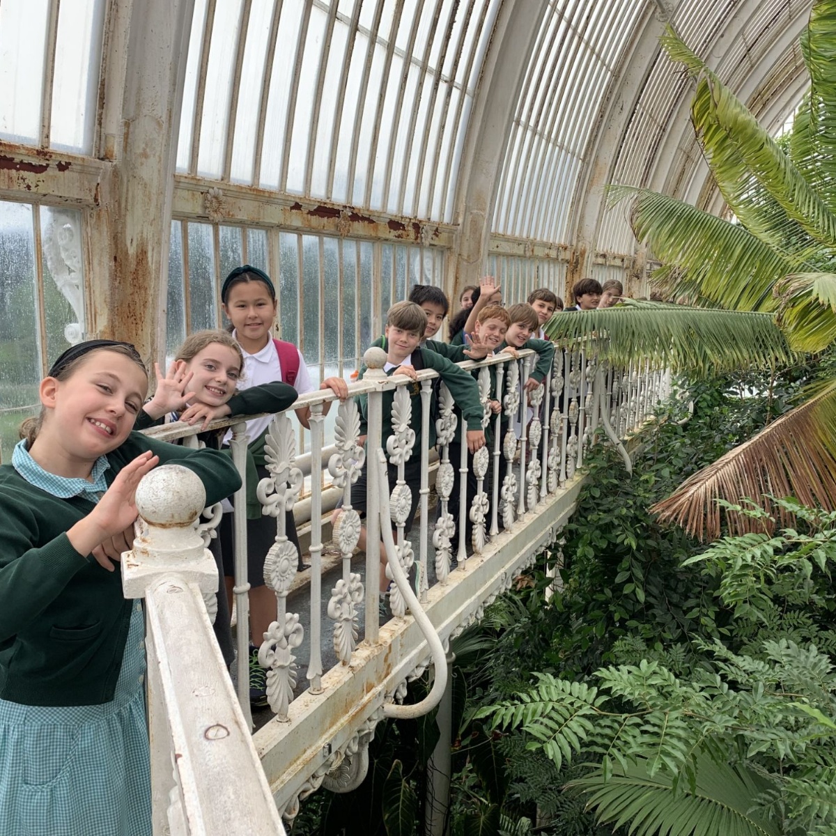 Sheen Mount Primary - Reading and the Evolution of Plants