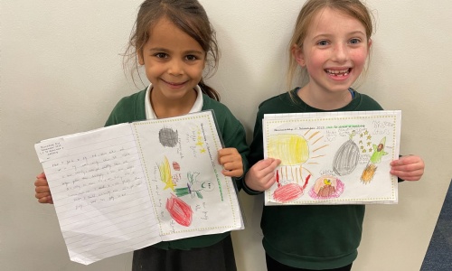 Sheen Mount Primary - Space setting descriptions!