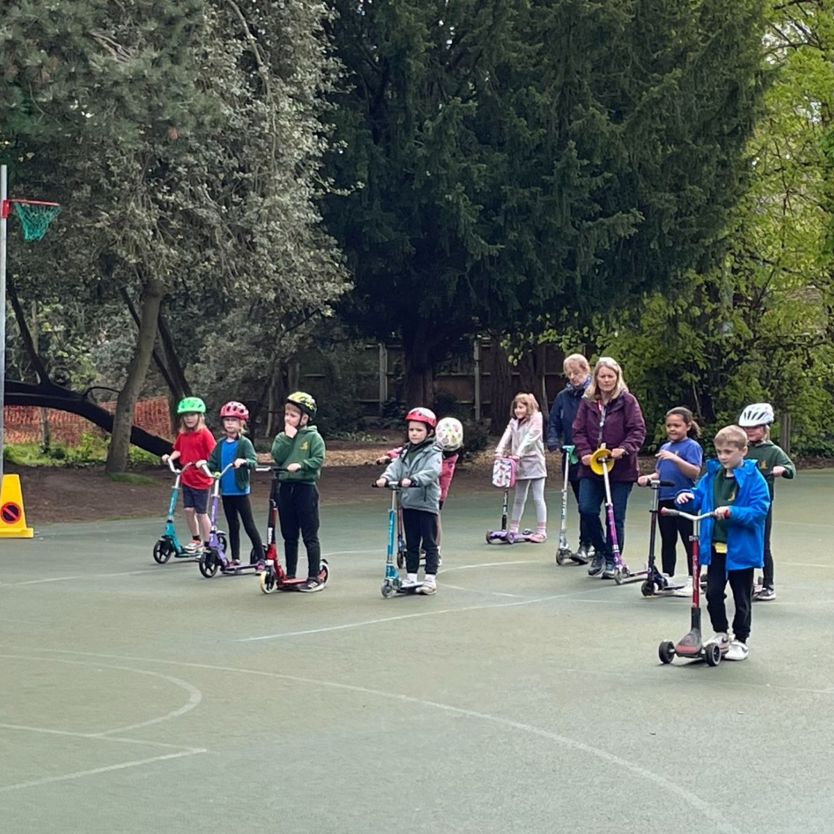 Sheen Mount Primary Scooter Training And Zoo Debates sheen-mount-primary-scooter-training-and-zoo-debates