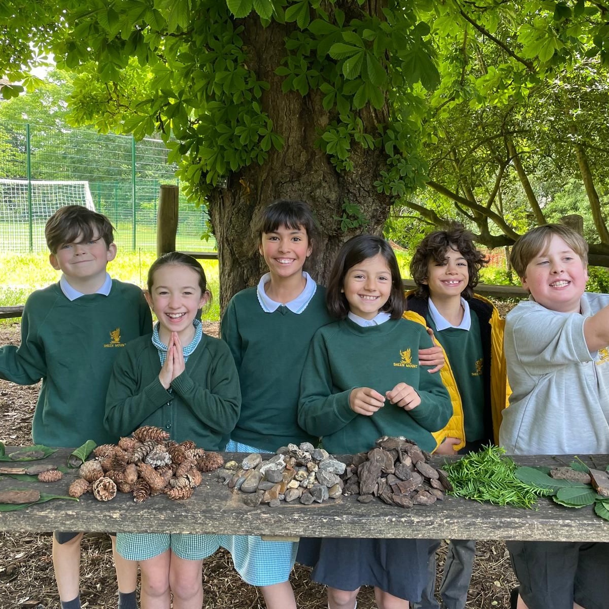 Sheen Mount Primary - King Henry VIII, hero or villain?