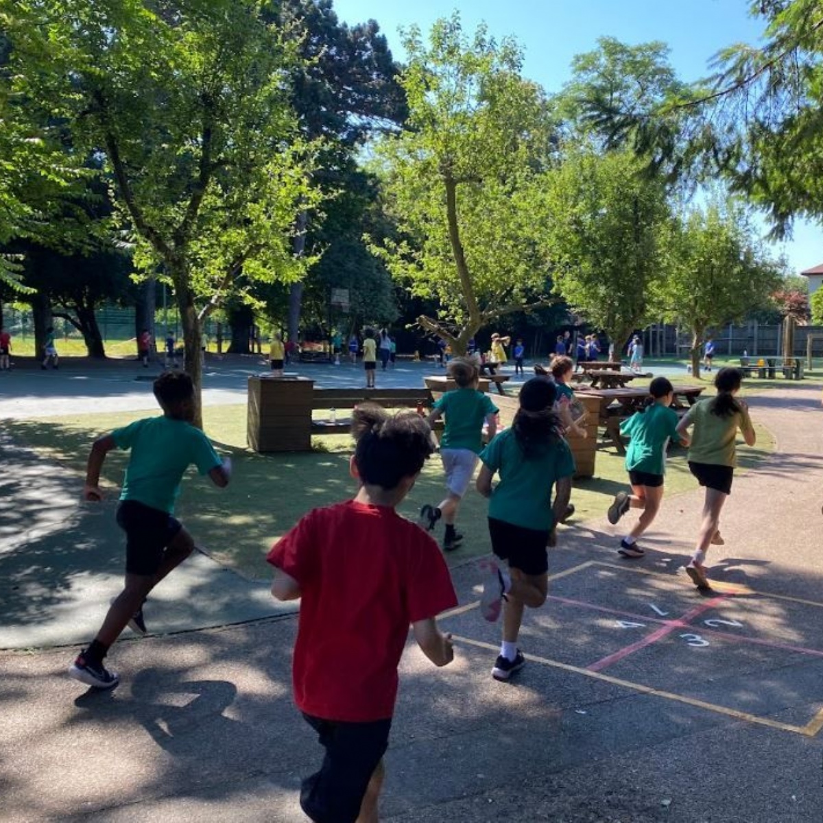 Sheen Mount Primary - On the up!