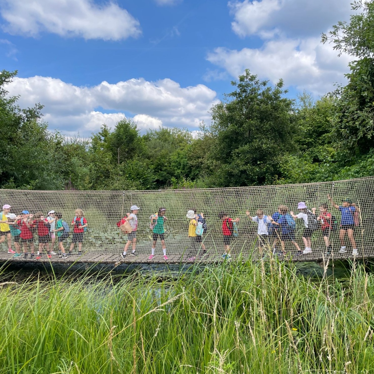 Sheen Mount Primary - Wetlands!