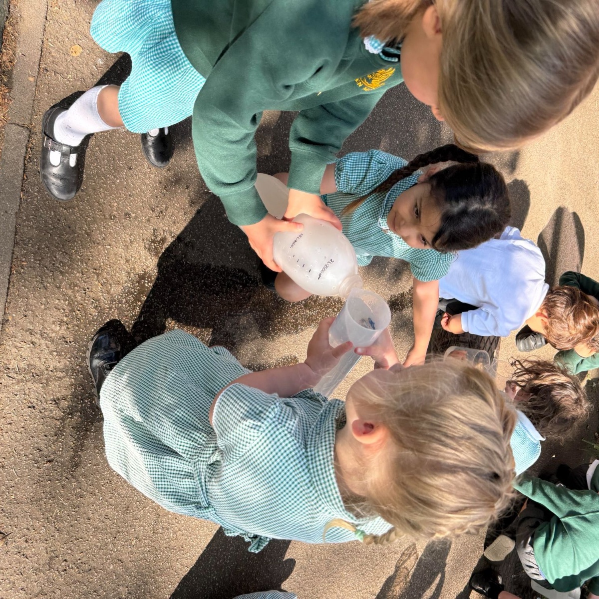 Sheen Mount Primary - Capacity, sculptures and plants!