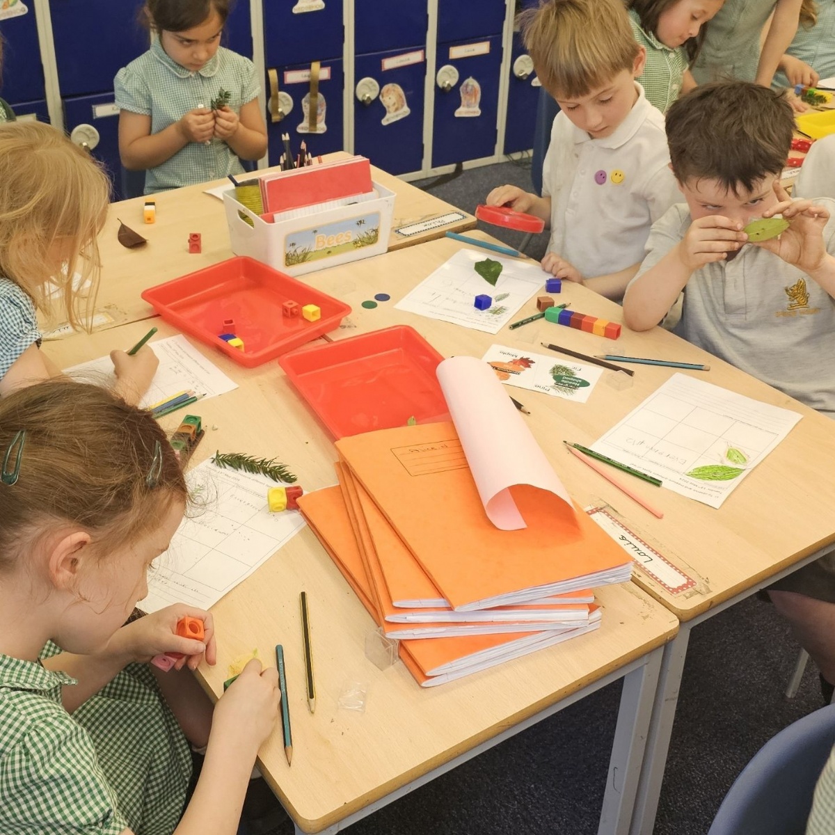 Sheen Mount Primary - Future meteorologists!